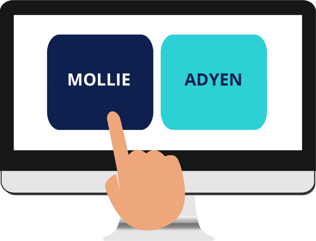 Payment via Payment Provider - JustOn